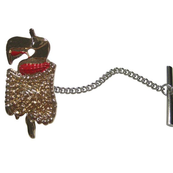 Kiola Designs | Accessories | Gold Toned Anatomical Medical Intestines ...